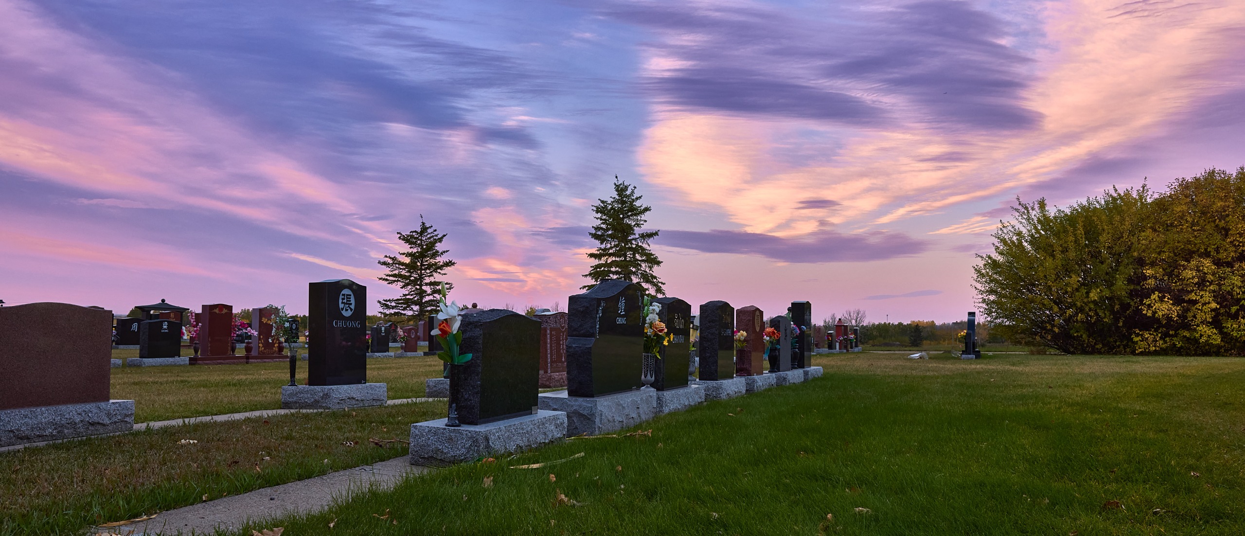 Cemetery Master Plan | Your View