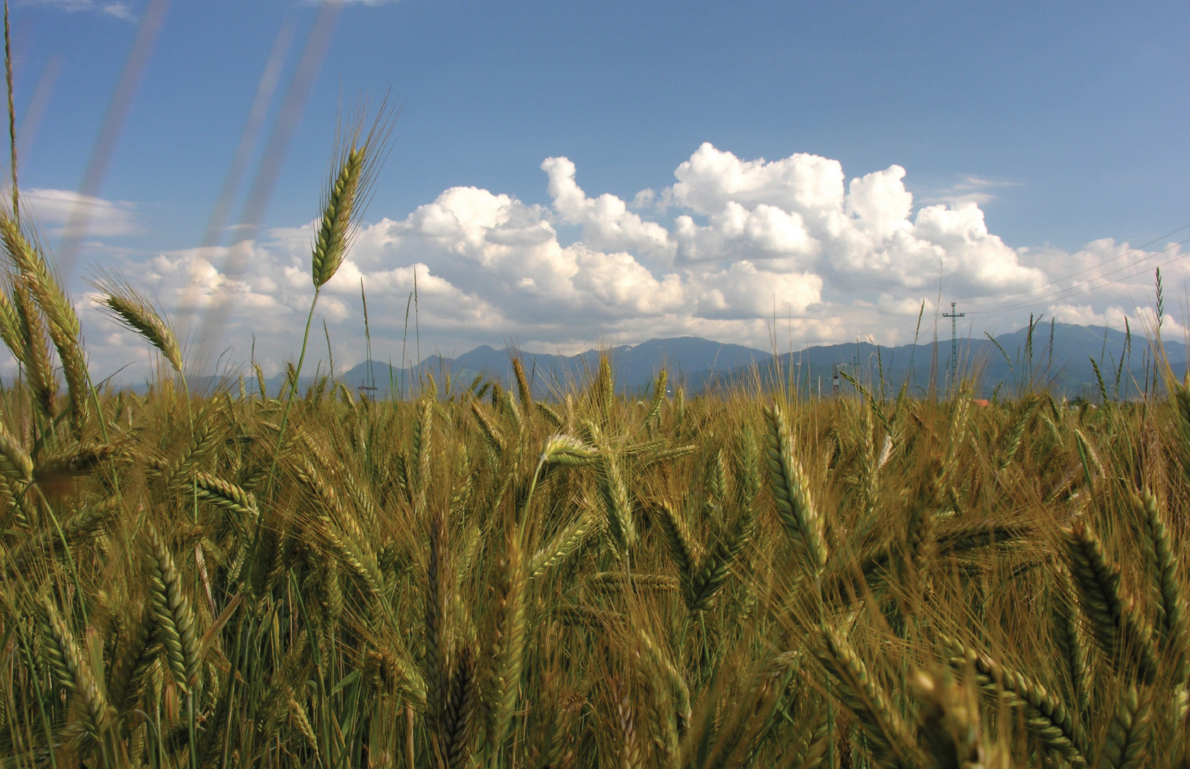 Aggregate Resource Plan Initiatives | Your View